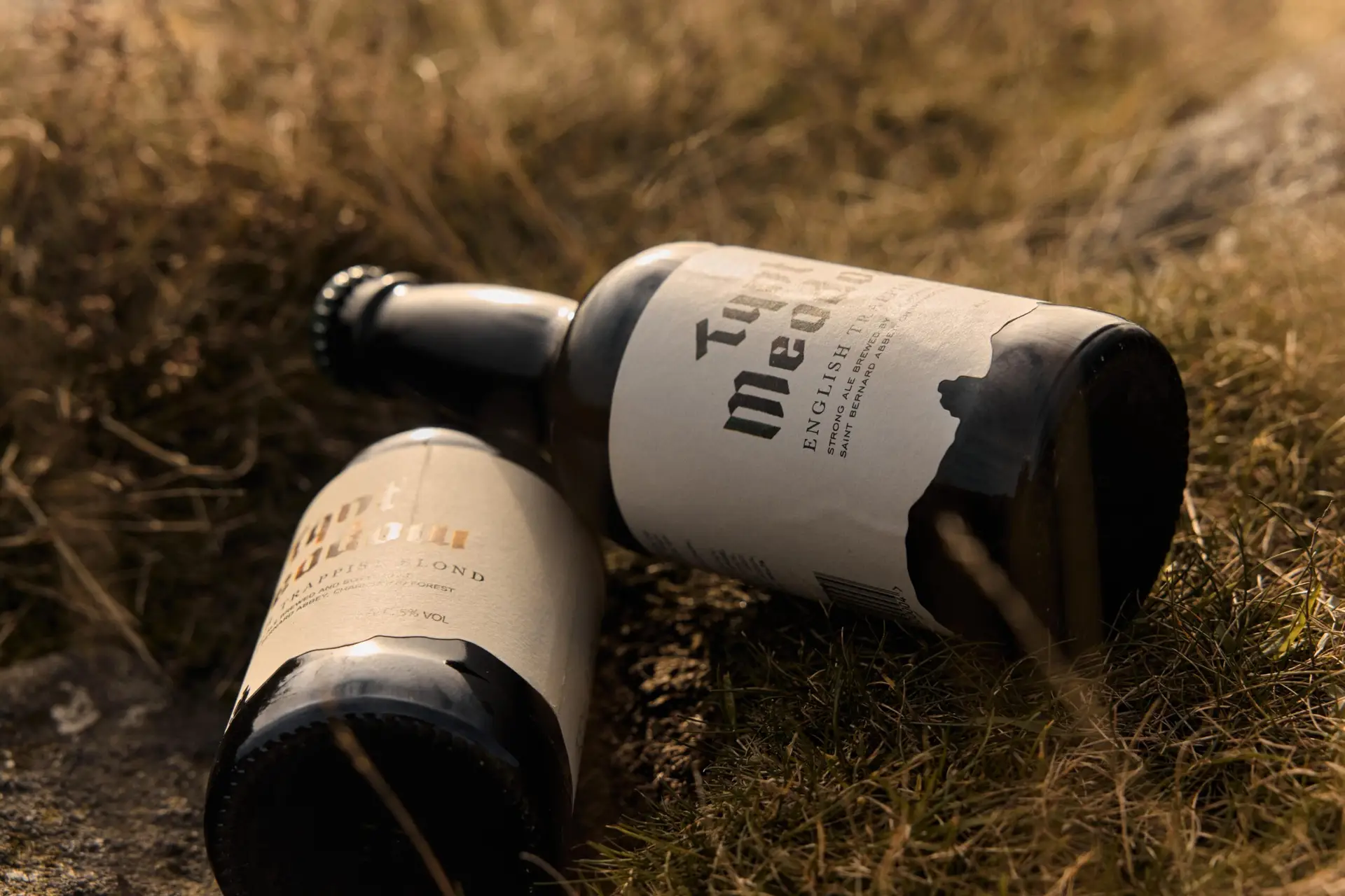 Tynt Meadow: Authentic Trappist Ale from Mount St Bernard Abbey